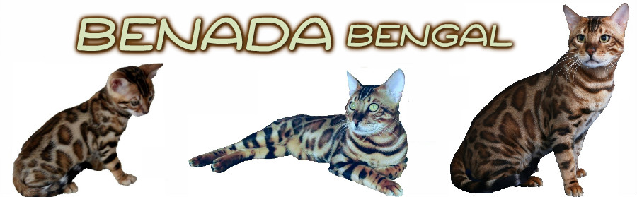 O nás :: BENADA